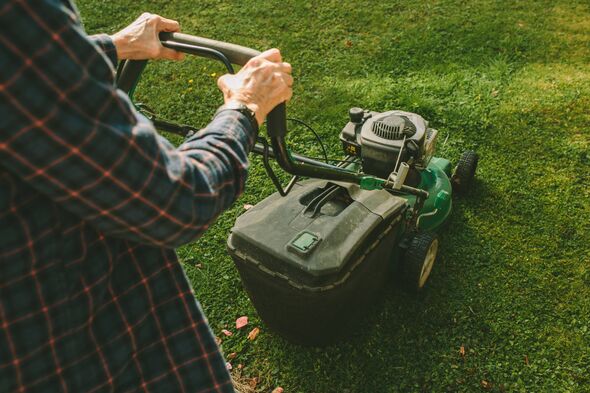 Gardening expert reveals one exception to No Mow May rule to keep lawn ...