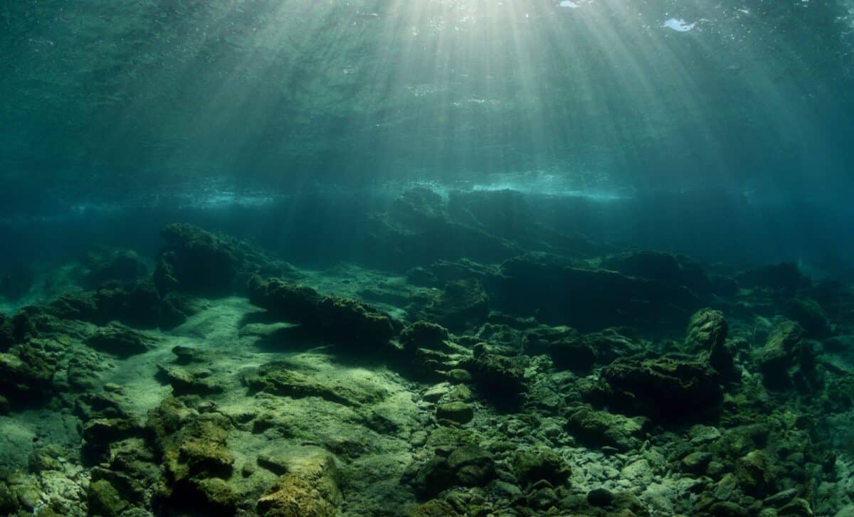 A remote lake sealed off since the Ice Age became home to millions of ...