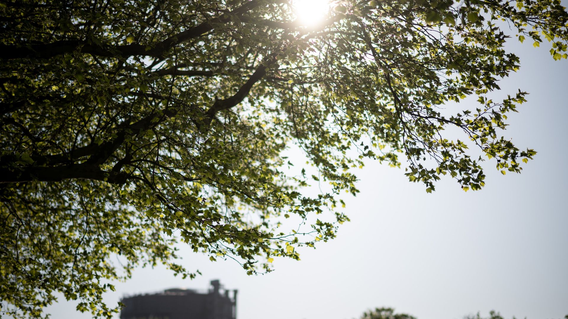 Wetter in Deutschland: 29,4 Grad in Cottbus nahe Temperaturrekord