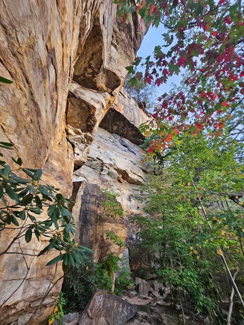 This 3.2-mile hiking trail in West Virginia takes you along sandstone ...