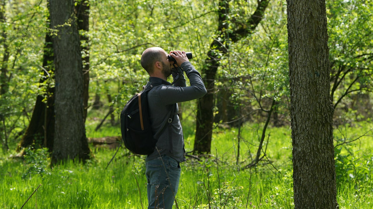 A Serbian bird-watching group uses crowdfunding to buy and preserve a ...