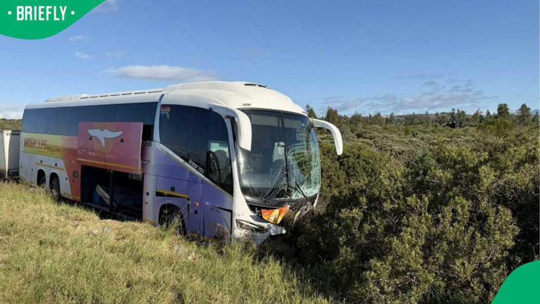 Traffic officer declared dead after state vehicle collides with long ...