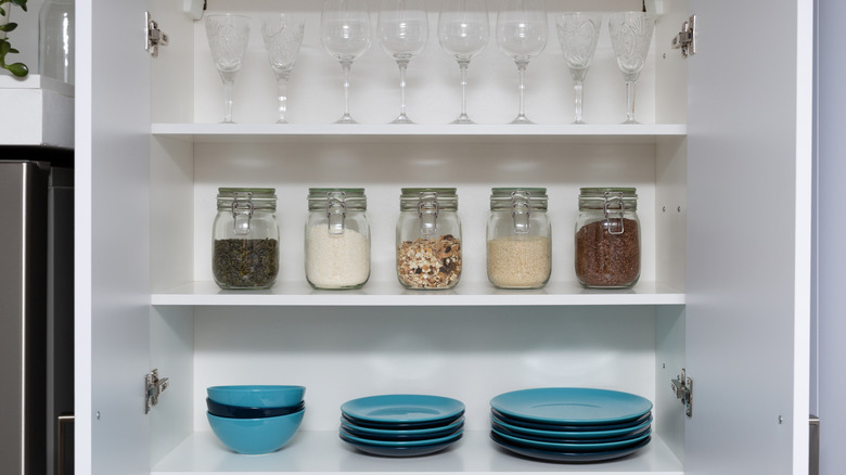 The best places to store seeds (and ones you should absolutely avoid)