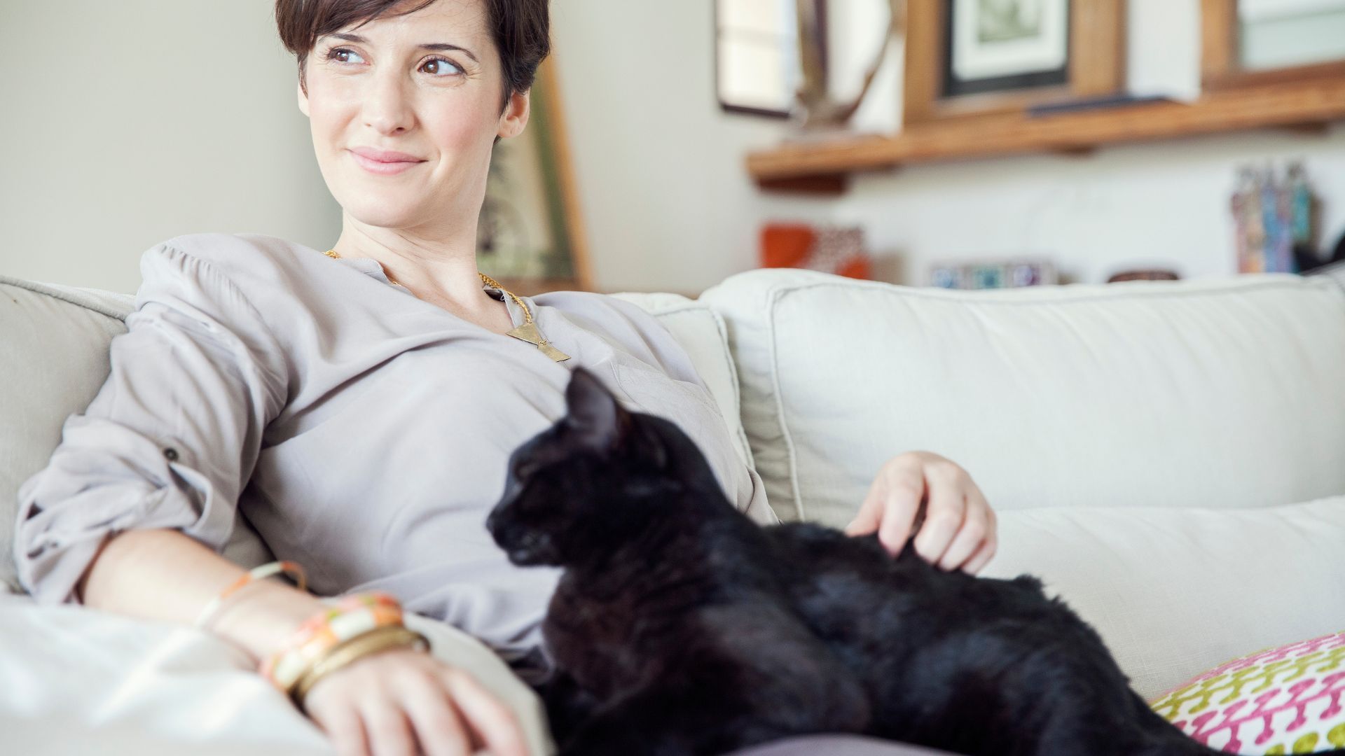 Reasons cats are the perfect companions