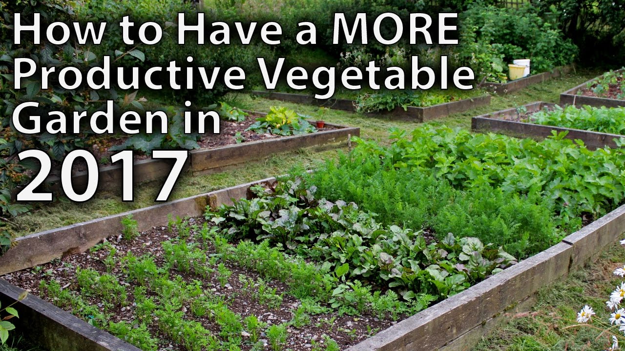 Supercharge your garden: 10 must-try tips!