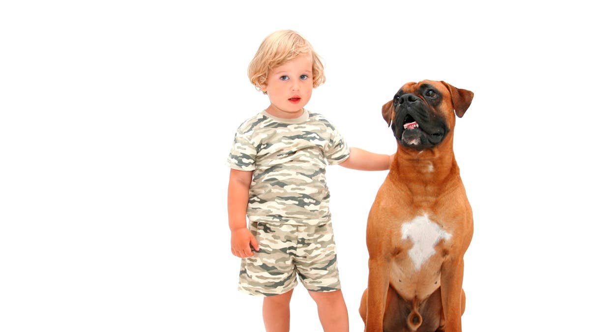 7 guard dog breeds for families with kids (trainer approved)