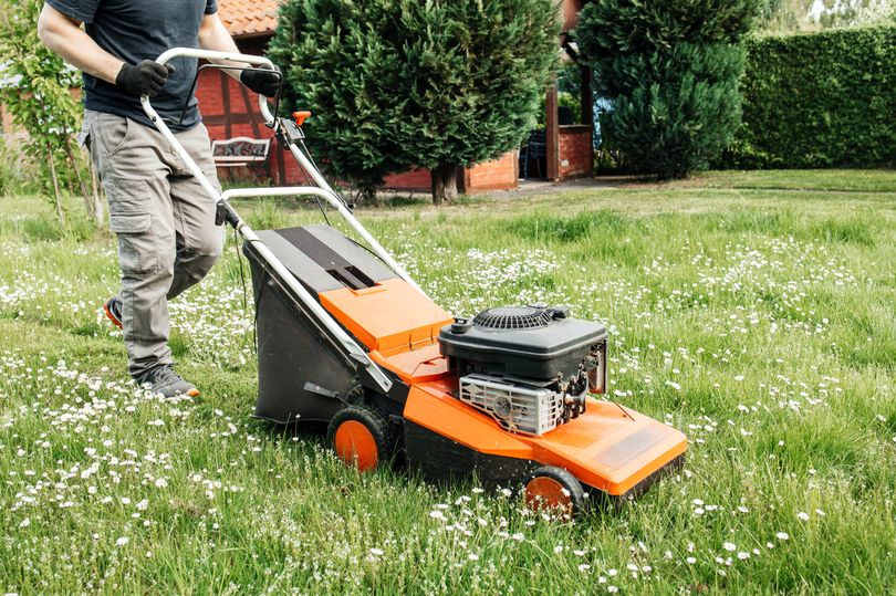Gardening expert shares one sign you should mow lawn in No Mow May 'to ...