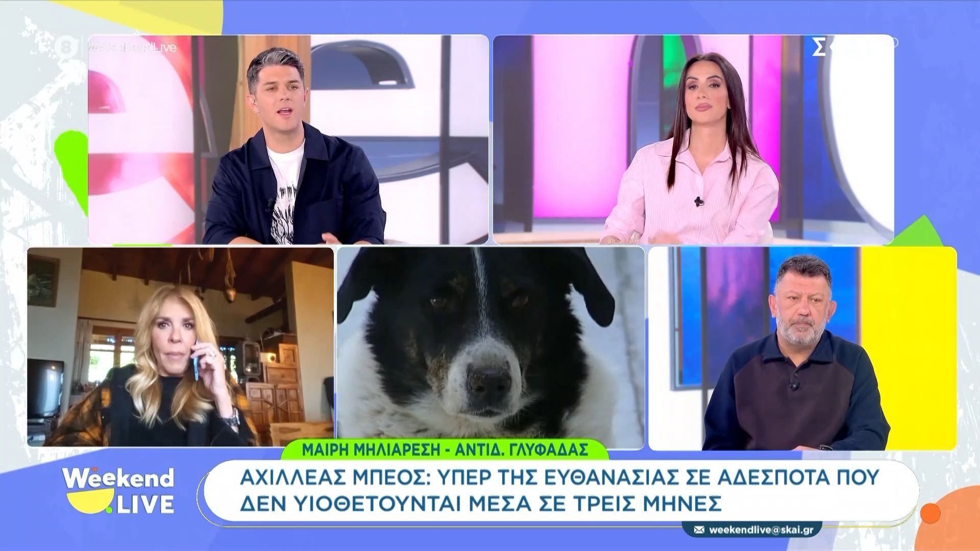 Α. Μπέος: Υπέρ της ευθανασίας σε αδέσποτα που δεν υιοθετούνται μέσα σε ...