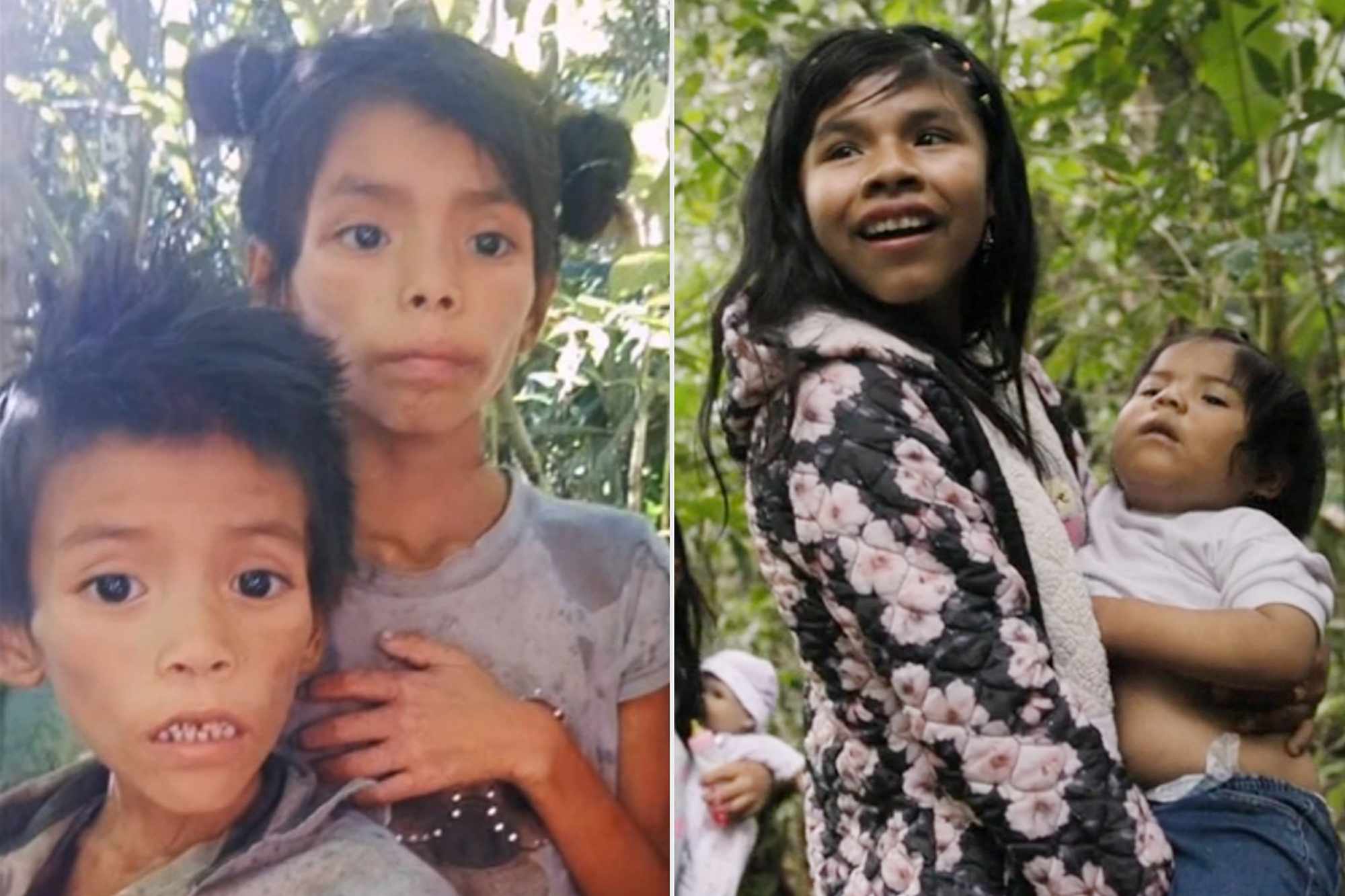 Los hermanos Mucutuy permanecieron solos y perdidos en la selva durante ...
