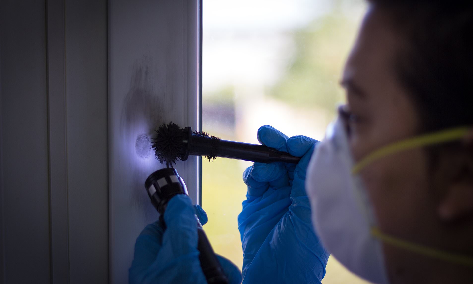 Whodunnit? Police probe as IT blunder deletes fingerprints