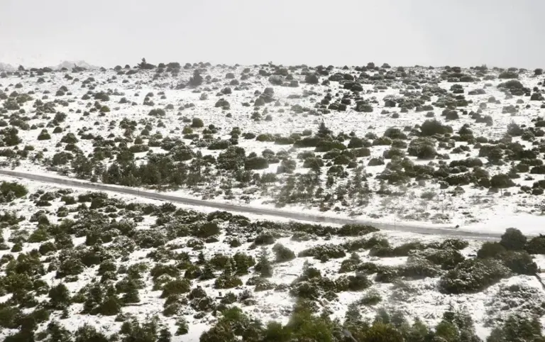 Πρωτοχρονιάτικη Πρωτομαγιά στην Πάρνηθα