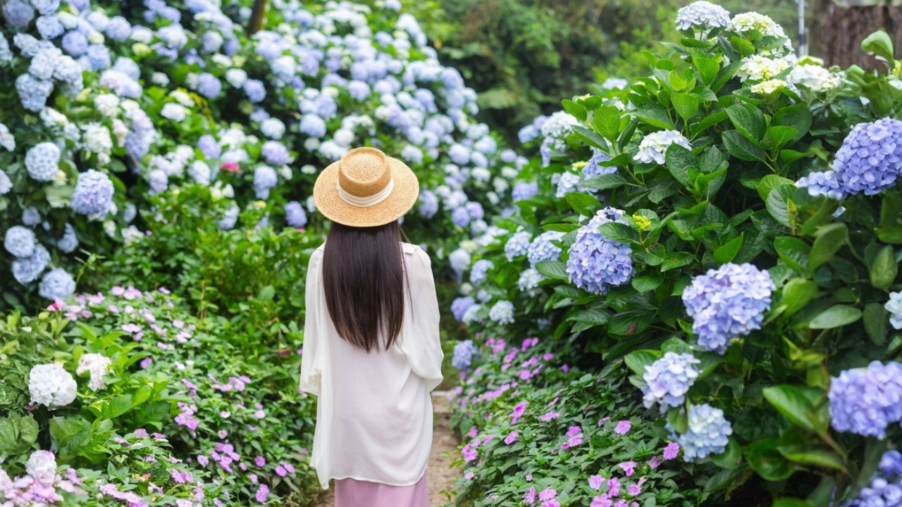 17 warm weather trips built around walkable botanical gardens