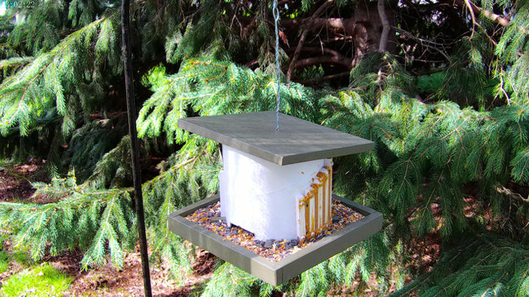 Turn ordinary wood and peanut butter into a DIY bird feeder birds can't ...