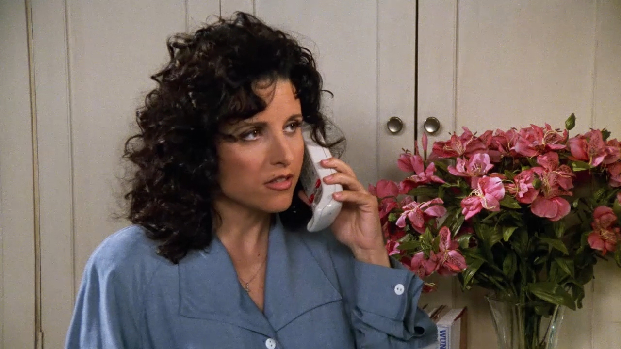 Julia Louis-Dreyfus finally answers question Seinfeld fans have been ...