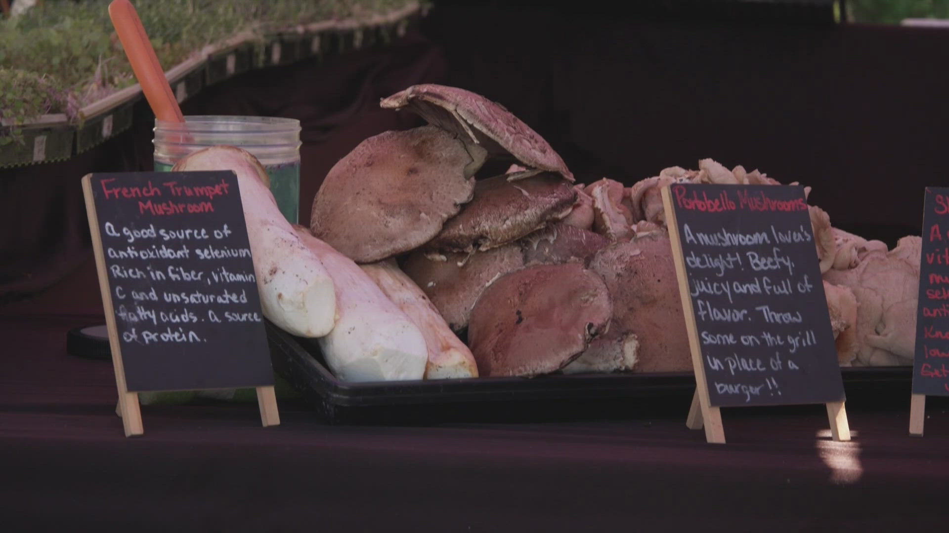 Buechel farmer's market making locally grown food accessible
