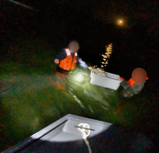 New Hampshire brothers, dog rescued from sinking sailboat in Essex River