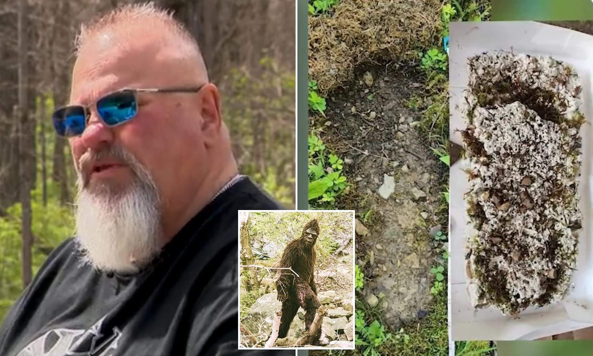Bigfoot sightings on the rise in Ohio as strange noises and Sasquatch ...