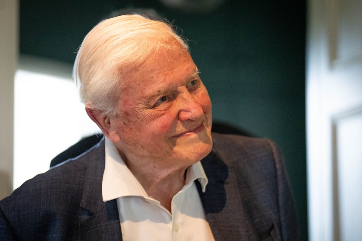 David Attenborough at 100 – bringing wonder to millions