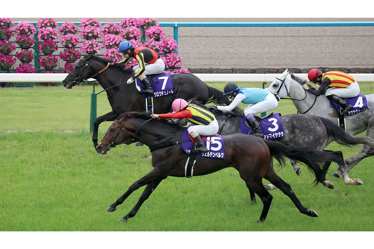 ハナ差で「0」か「700万円」…天皇賞で仰天馬券的中 「マジで未来人?」「こんな買い方できない」ネット衝撃