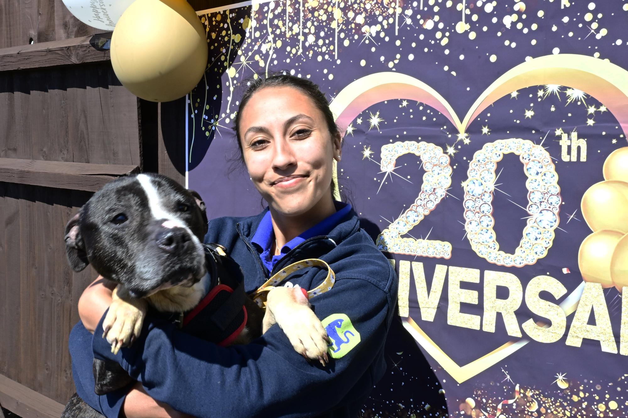 Peterborough's Acorn Lodge Kennels celebrates its 20th anniversary