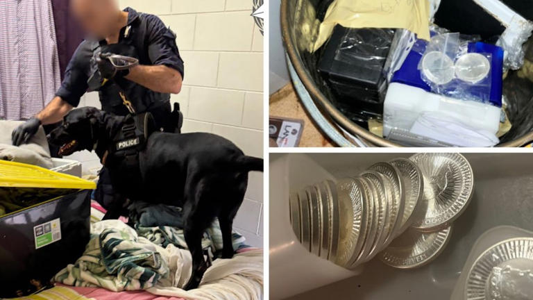 Cash, crypto, gold seized in major NDIS probe