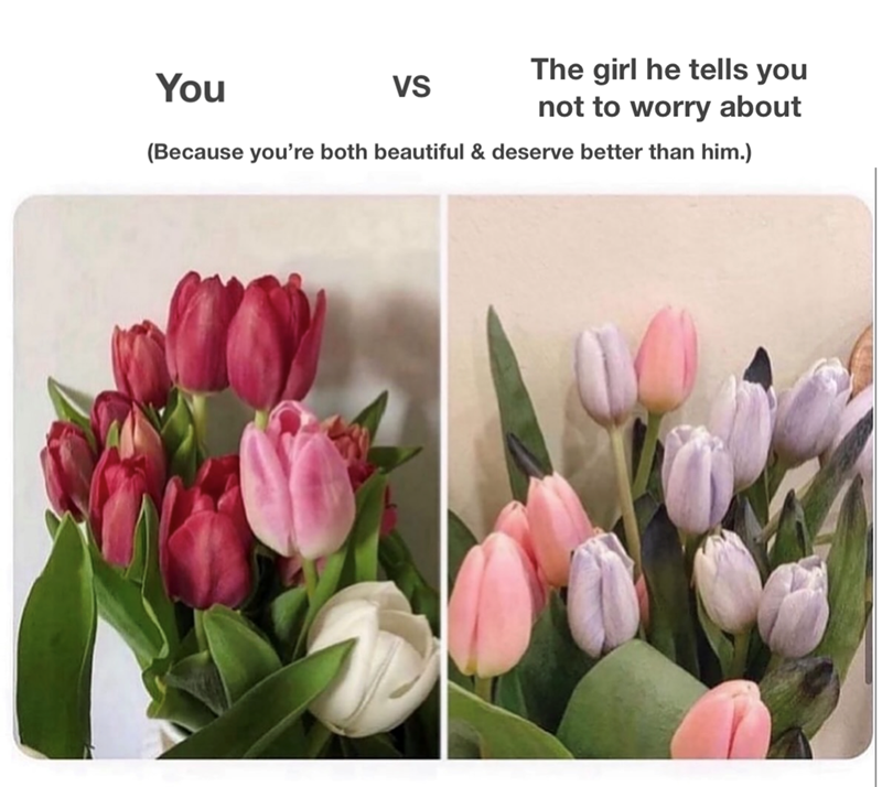 POV: You're a funny fairy spreading these 23 whimsical memes throughout ...