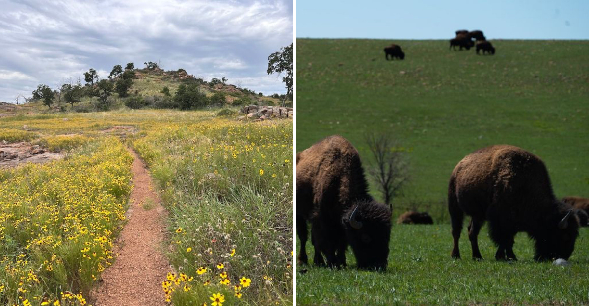 This Oklahoma trail takes you straight into wide-open prairie where ...