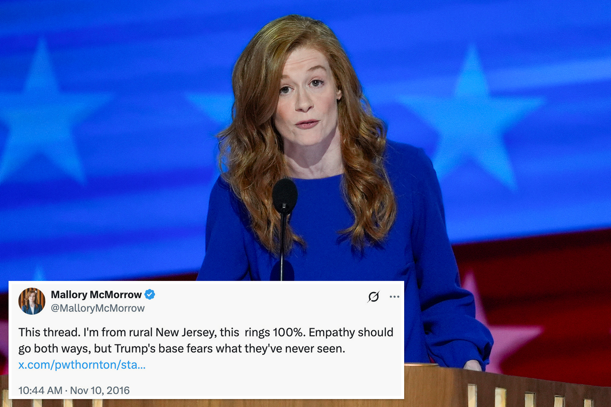Michigan Dem Senate candidate Mallory McMorrow defends tweet trashing ...