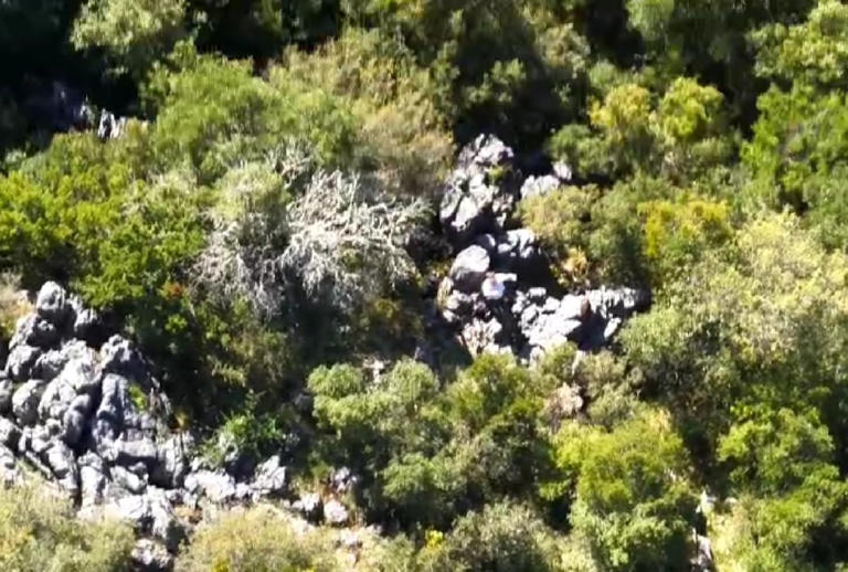 Η στιγμή που drone της Πυροσβεστικής εντοπίζει περιπατητές που είχαν ...