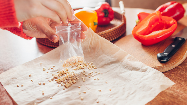 The best places to store seeds (and ones you should absolutely avoid)