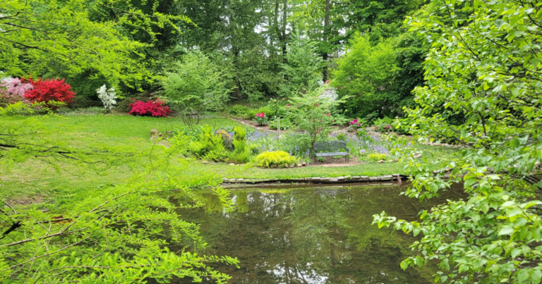 5 picture-perfect nature trails in New York for spring hiking