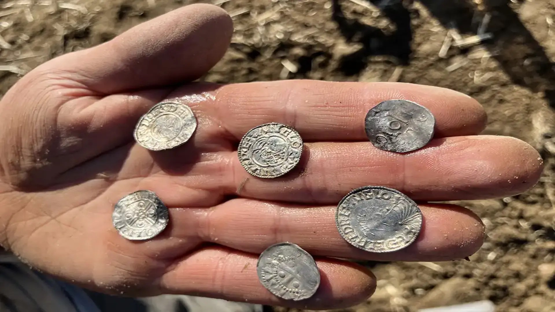 Largest Viking Age coin hoard ever found in Norway astonishes ...