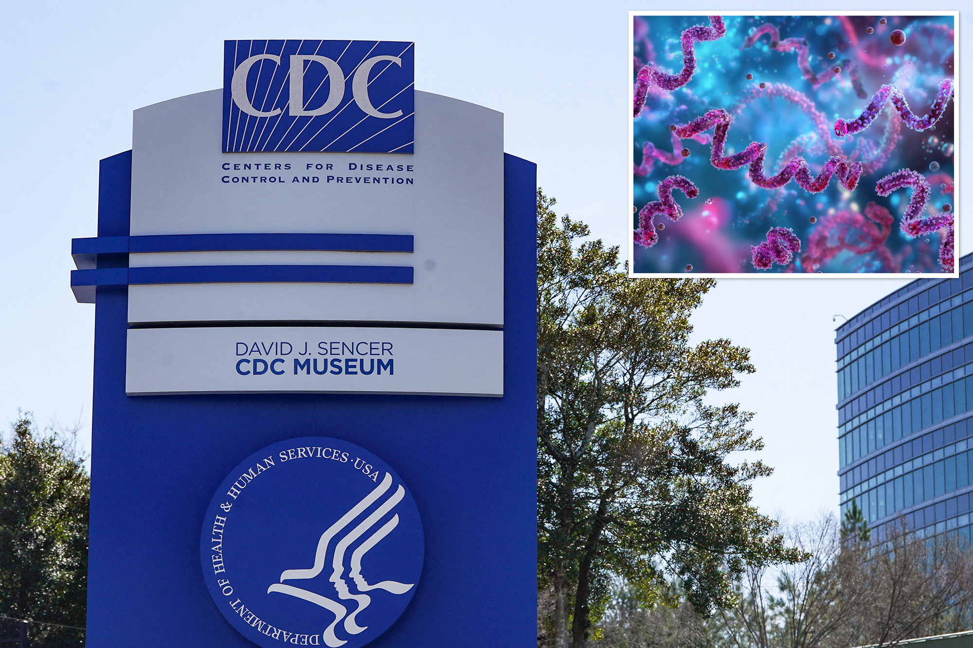 Syphilis spikes in California as health chiefs warn sexually active to ...