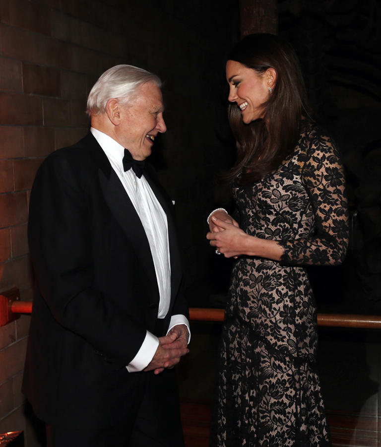 15 pictures of Sir David Attenborough you may have never seen before