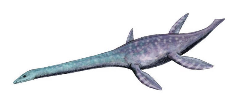 The many species named in honour of Sir David Attenborough