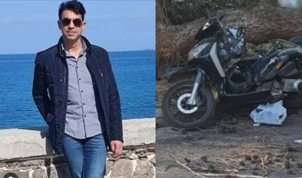 Στο εδώλιο η υπόθεση με το «φονικό πεύκο» στο Ηράκλειο – Τέσσερις ...