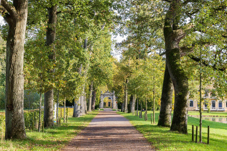 Historie, natuur en een vleugje magie: Landgoed Nienoord heeft alles ...
