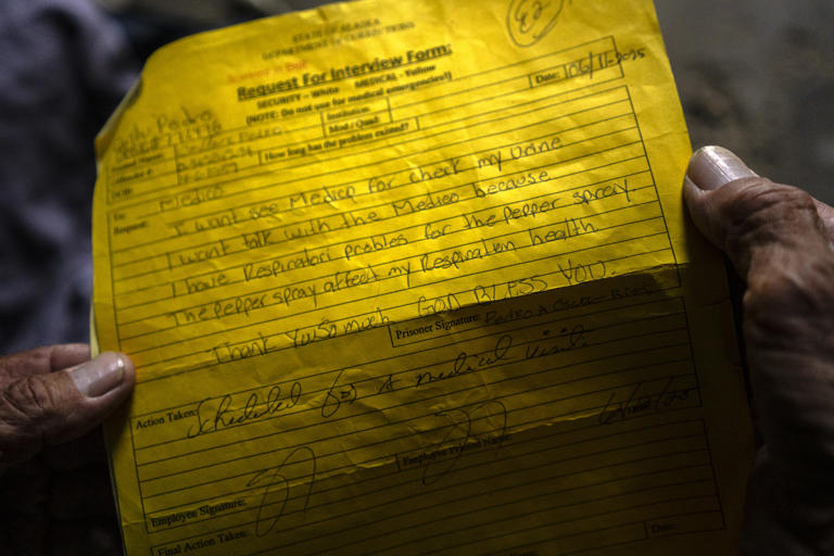 Internal ICE records reveal widespread use of force in detention centers