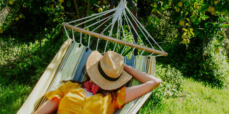 14 garden plants guaranteed to block out the noise your neighbours are ...