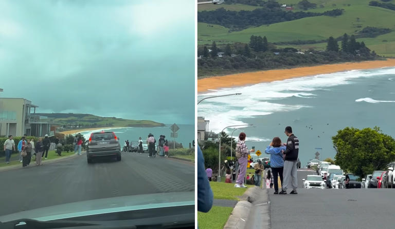 Chaos on Australia's 'most beautiful' street as tourists clash with ...