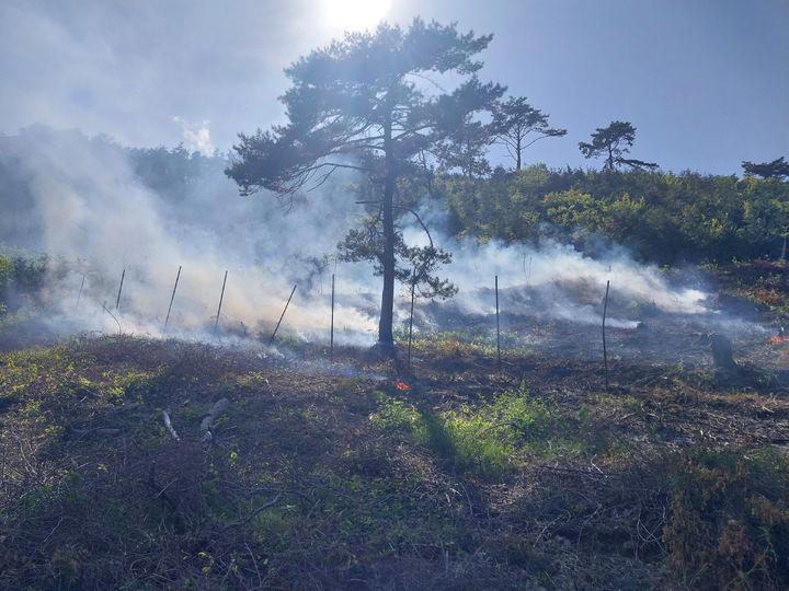 나주 다시면 야산서 불…인명 피해 없어