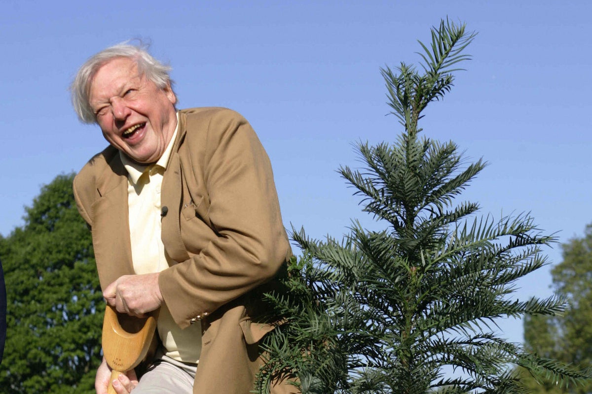 The many species named in honour of Sir David Attenborough