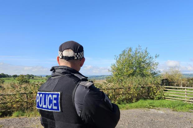 Police launch investigation after body of woman found in woods