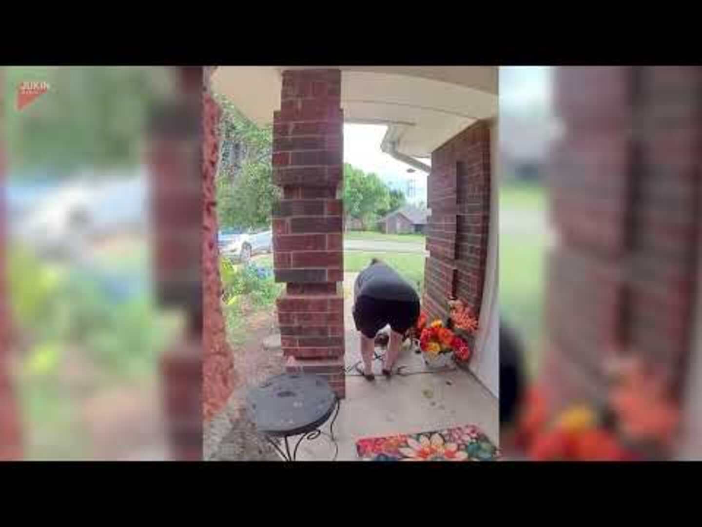 Dog pulls table and knocks flower pot in chaotic leash mishap