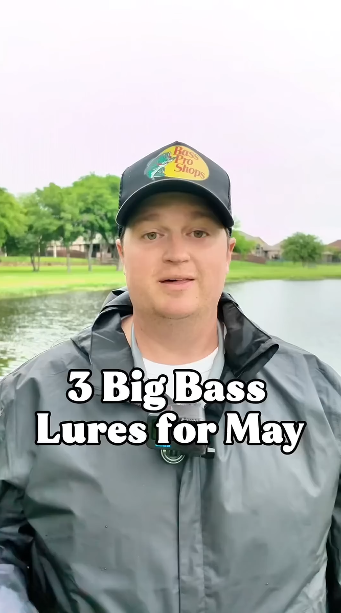 Three best fishing lures for catching big bass in May