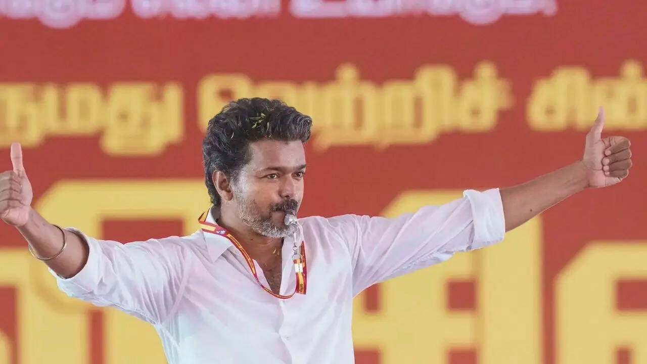 'Will form govt without any support': Vijay's TVK emerges as single ...