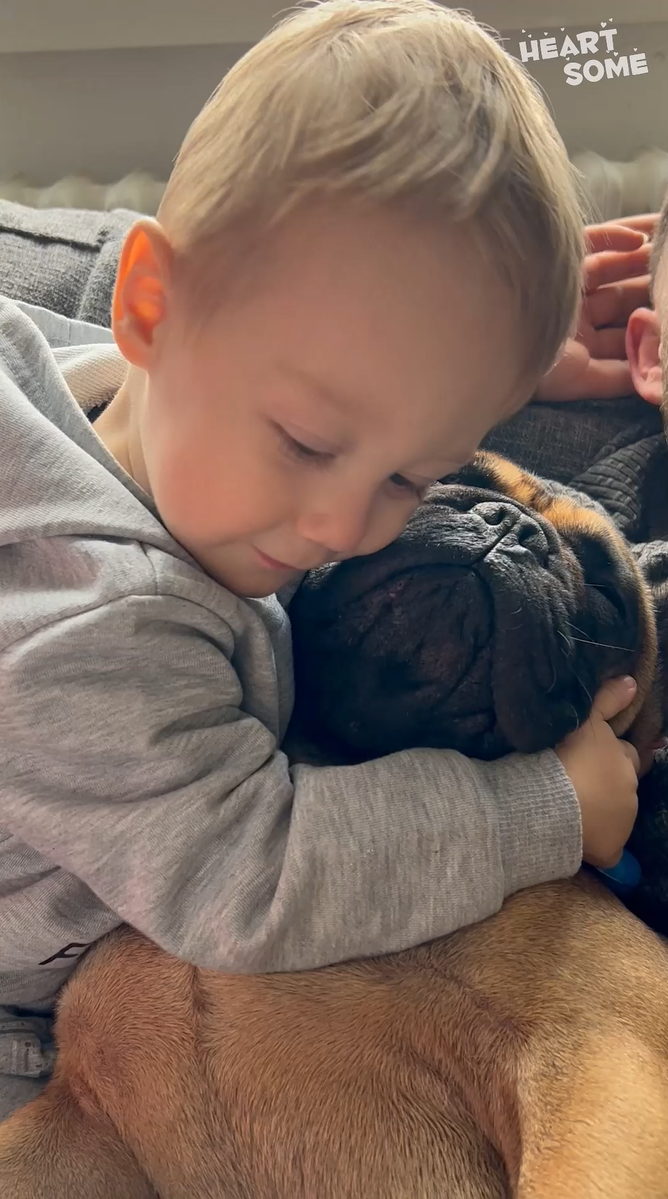 Toddler Boy Hugs His French Bulldog Best Friend Wholesome Moment