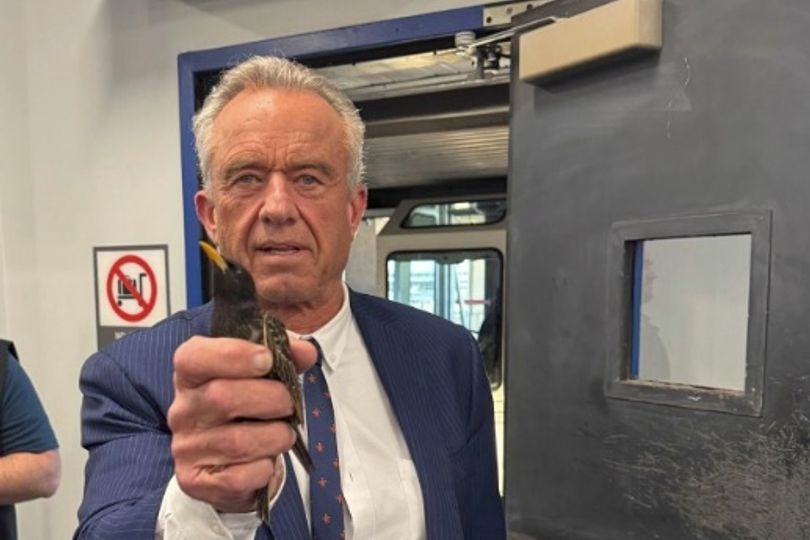 RFK Jr. asked not to mutilate helpless bird he captured in DC airport