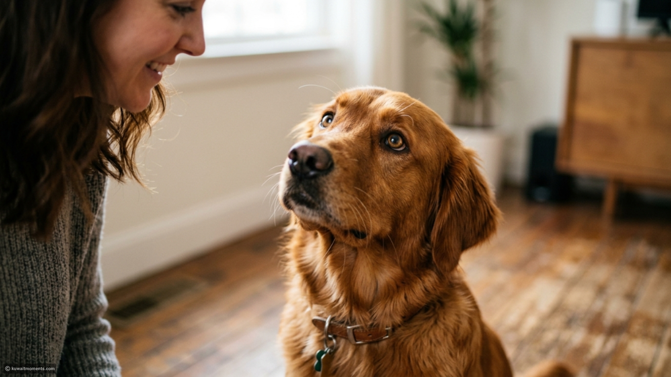 Your dog will do these 10 things when he's fallen in love with you
