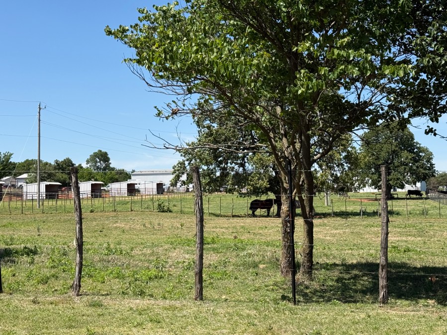 Guthrie barn fire kills at least 17 horses